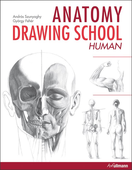Anatomy Drawing School Human Body Buy Book Online Ullmann Medien Anatomy Drawing School Human Body Buy Book Online Ullmann Medien